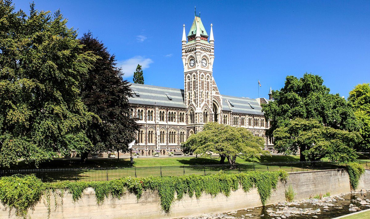 Start Your Study Journey in New Zealand with Apply Point!